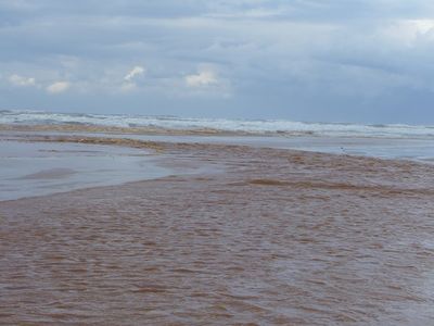 חוף פולג – iNature