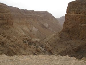 מעלה צאלים וגבי הרדוף – iNature