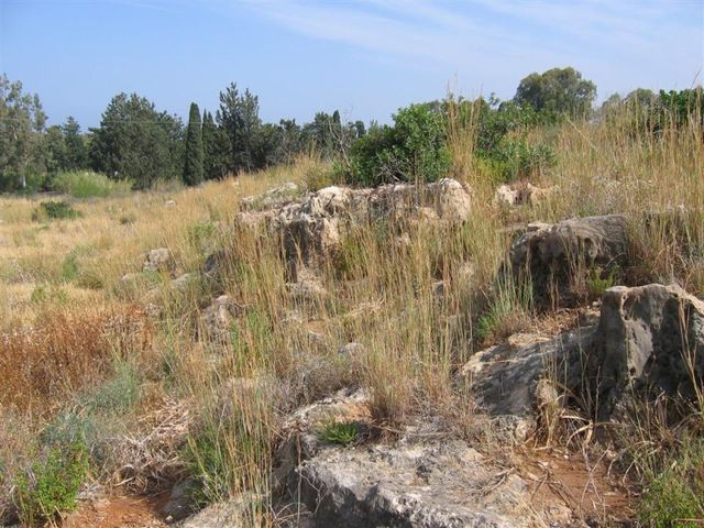 טיולים בחוף הגליל ובעמק עכו – iNature