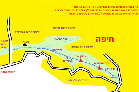 נחל לוטם – iNature