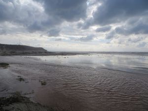 חוף פולג – iNature